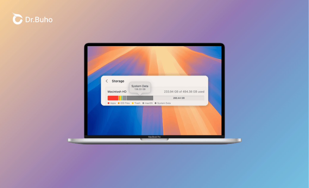 macOS System Data Huge? 10 Ways to Clear It - Dr.Buho