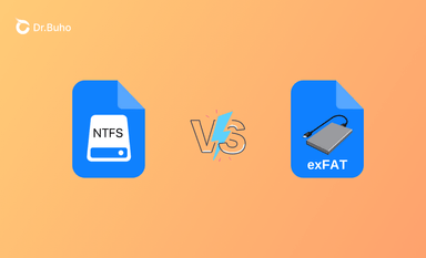 [Anleitung] exFAT vs NTFS: Was ist besser? - Dr.Buho
